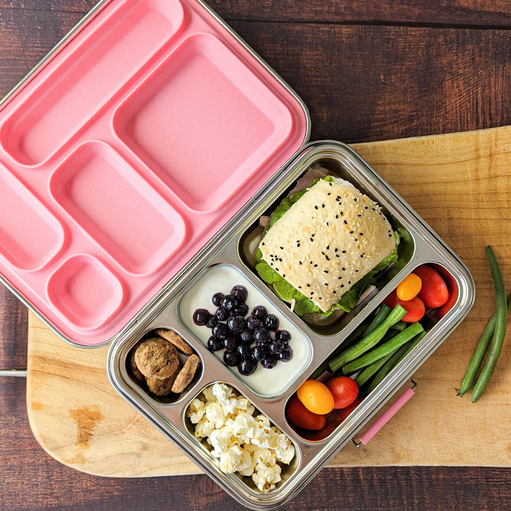 Bento Lunch Boxes | Stainless Steel | Ecococoon™ Australia - Ecococoon